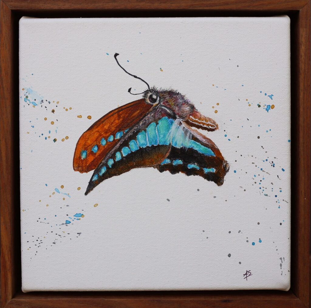 Anne Scanlon | Blue Triangle Butterfly – Revival Art & Design Gallery